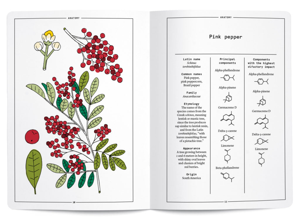 Pink Pepper In Perfumery Collective Le Shop By Nez